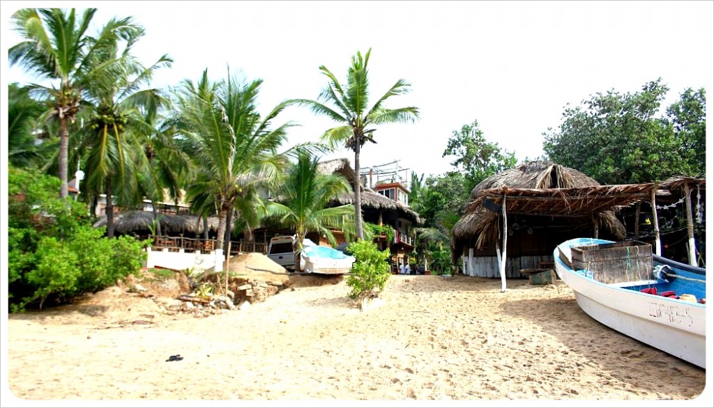 Visiting Mazunte, Mexico: Why Go + Where to Stay