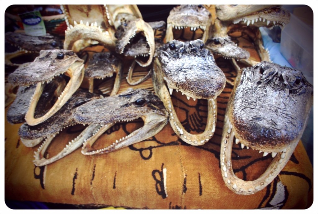 Great American Road Trip: Alligators and all that Jazz…