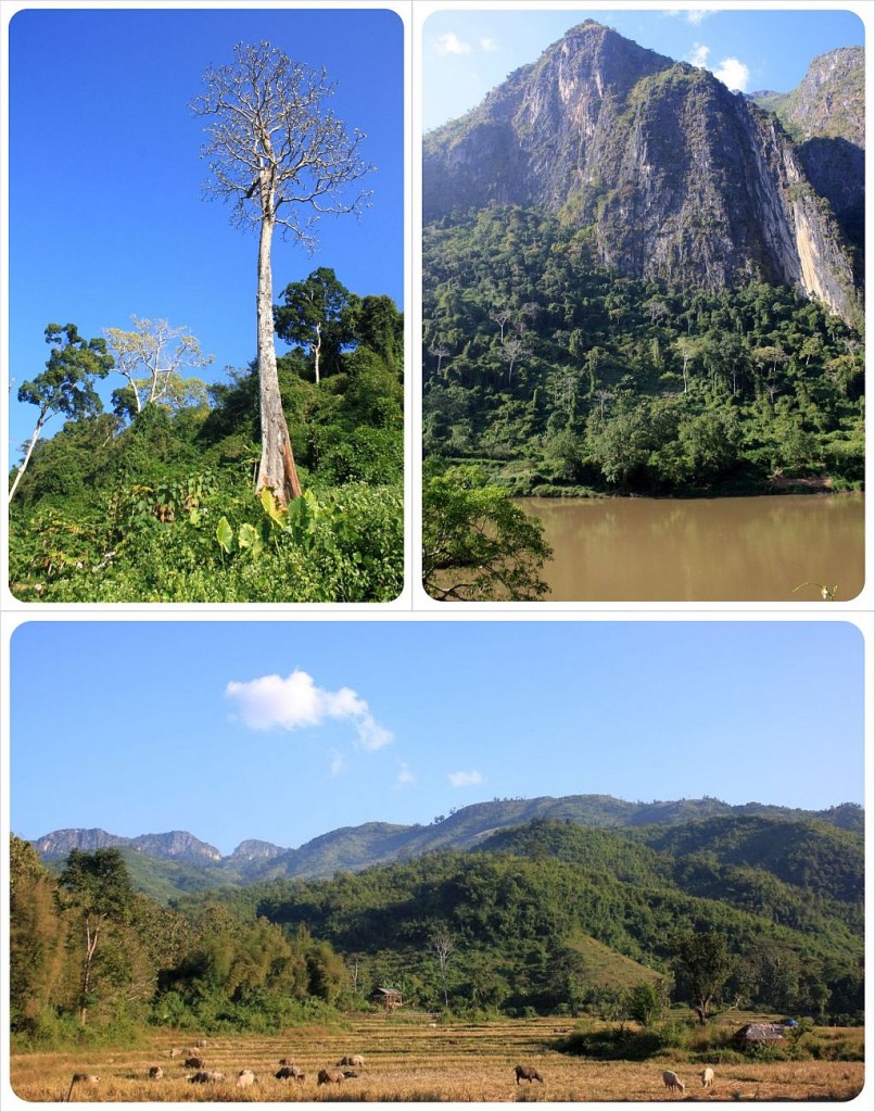 33 things we love about Laos