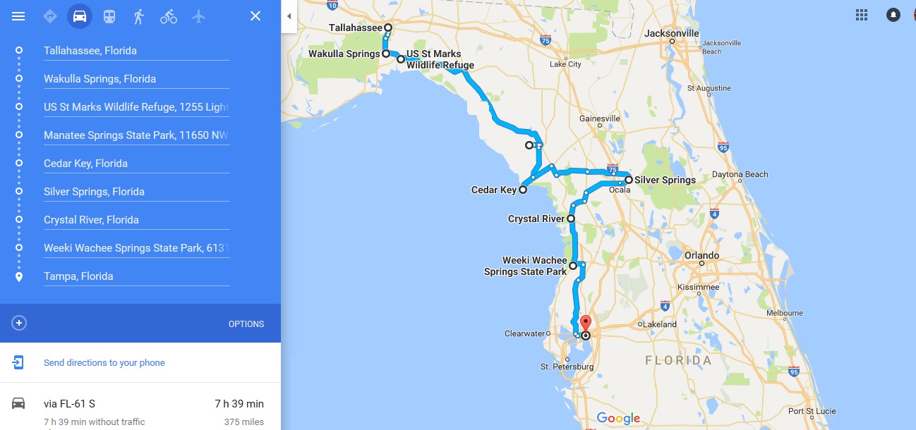 The Three Most Epic Road Trips In Florida