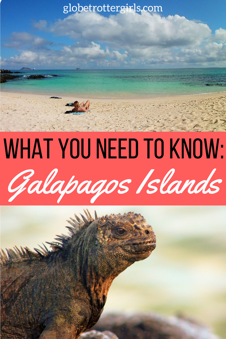 The Galápagos Islands: Fifteen Things To Know Before You Go