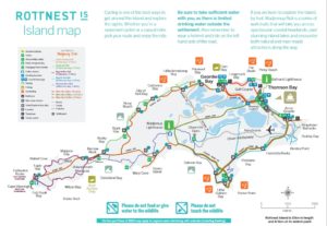 Everything you need to know about visiting Rottnest Island