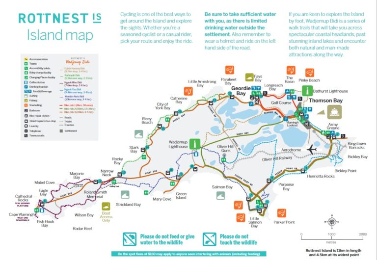 Everything you need to know about visiting Rottnest Island